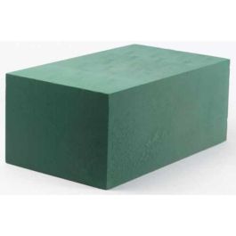 Oasis Wet Foam Jumbo 1